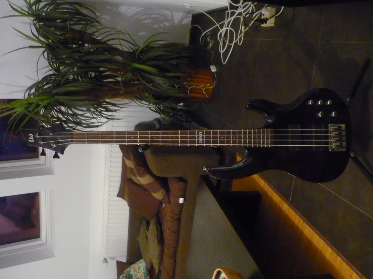 ESP/LTD B-254 : Meilleurs prix neuf, Avis, Test et Vente d'occasion ...