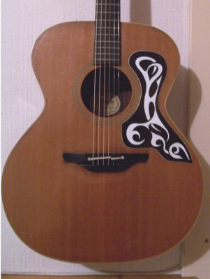 Takamine EN25 : Meilleurs prix neuf, Avis, Test et Vente d'occasion ...