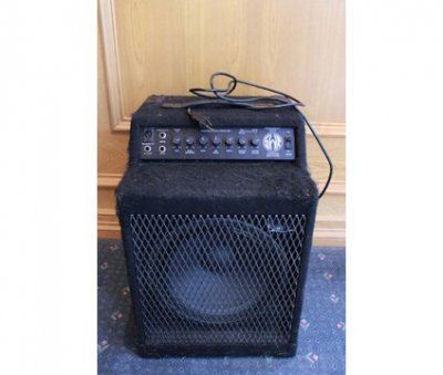 SWR Workingman's 12 Bass Combo : Meilleurs prix neuf, Avis, Test et ...