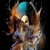 Télécharger Je t'aime de Aucun en MP3 - EasyZic